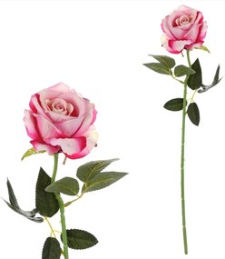 Růže KN6123-PINK-DK, barva tmavě růžová, samet.