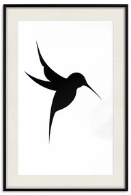 Plakát Kolibřík černý
