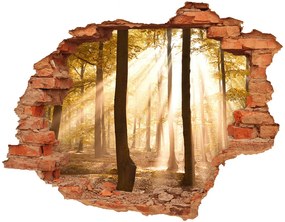 Wallmuralia Díra 3D ve zdi nálepka Podzim les 90x70 cm