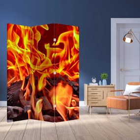 Paraván - Hořící uhlíky (126x170 cm)