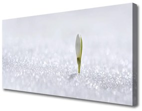 Obraz na plátně Sněženka Sníh Zima 125x50 cm