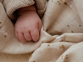 Little Dutch Plena zavinovací 120x120 cm Husa Newborn Naturals