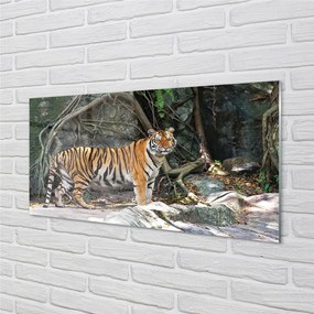 akrylový obraz tygr džungle 125x50 cm