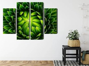 Vícedílný obraz Zelená Rostlina V Makro Měřítku Nedostatek Nedostatek Přírodní plátno 200x150