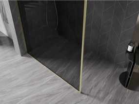 Mexen, Mexen Kioto-XF sprchová stěna s rámem 50 x 202 cm, grafit 10 mm, kartáčované zlato - 800-050-104-55-40-X