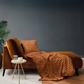 Světle hnědá deka z mikroplyše 220x240 cm Frosty – douceur d'intérieur