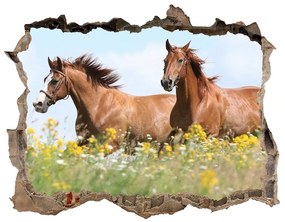 Wallmuralia Díra 3D fototapeta Dva koně ve cvalu 95x64 cm