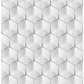 Skleněný panel 60/60 Polar Hex Esg
