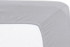 Florella Prostěradlo Avance Jersey 45 Silber, 140-160x200 cm