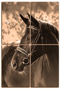 Obraz na plátně - Černý kůň - obdélník 7220FE (120x80 cm)