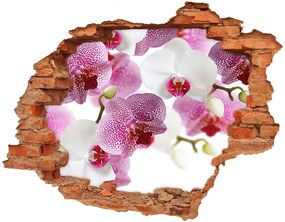 Wallmuralia Fototapeta nálepka na zeď Fototapeta orchidej 90x70 cm