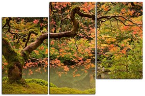 Obraz na plátně - Červený javor podzim 1241D (135x90 cm)