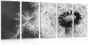 5-dílný obraz semínka pampelišky v černobílém provedení - 200x100 cm