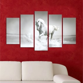 Vícedílný obraz White Horse 110x60 cm