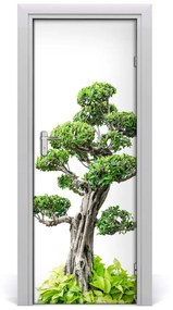 Fototapeta samolepící bonsai 75x205 cm