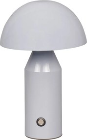 Stolní Led lampa 2W Dorbia TB-83647-GR Italux