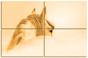 Obraz na plátně - Andaluský kůň v mlze 1219FE (150x100 cm)