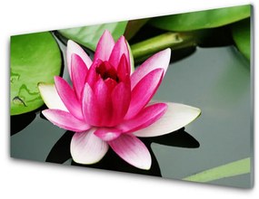 Obraz na skle Květ Rostlina Příroda 100x50 cm
