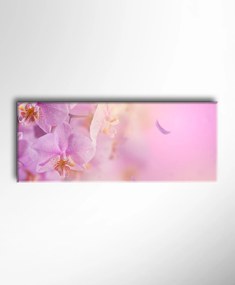 Malvis ® Obraz rozkvetlá orchidej ROZMĚR (šířka x výška): jednodílný obdélník 150x100 cm