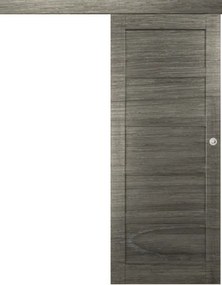 posuvné interiérové dveře na stěnu vasco doors BRAGA plné, model 1 Průchozí rozměr: 70 x 197 cm, Orientace dveří: Levé dveře, Dekor: Dub stříbrný