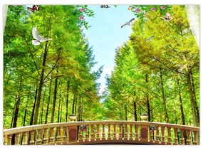 Obraz - Výhled na les (70x50 cm)