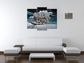 Gario Obraz s hodinami Záhadné silné stromy - 3 dílný Rozměry: 90 x 70 cm
