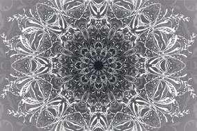 Samolepící tapeta černobílá rozeta - 300x200 cm