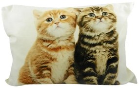 Béžový obdélníkový polštář s kočičkami - 50*10*35cm