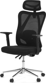 Ergonomická kancelářská židle FLEXIWORK - černá síťovina
