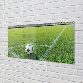 Obraz na skle Fotbalový stadion trávy 100x50 cm