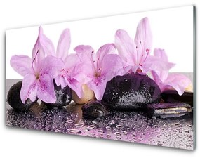 Obraz na skle Květiny Kameny Zen Lázně 140x70 cm