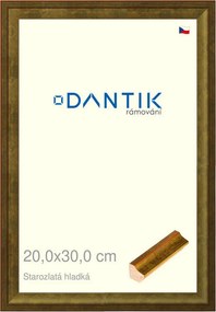 DANTIK rámeček 20x30 | Starozlatá hladká (Sklo Čiré)