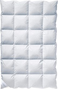 XXXLutz ZIMNÍ PŘIKRÝVKA, 135/200 cm, kachní prachové peří, kachní peří Billerbeck - Přikrývky - 003279054301