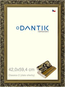 DANTIK rámeček 42x59,4 | Claico 2 (zlato ořechy) (Plexi Čiré)