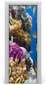 Samolepící fototapeta na dveře Korálový útes 85x205 cm