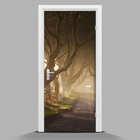 Wallmuralia Samolepící nálepka na dveře Velké stromy 75x205