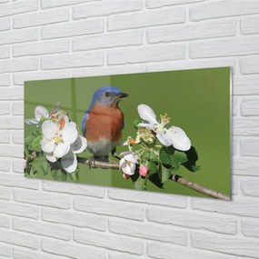 Obraz na skle Květiny barevné papoušek 140x70 cm