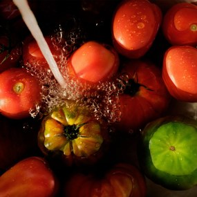 Voluspa svíčka Tomato Trellis, 510 g