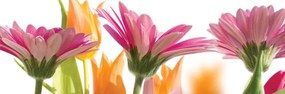 Dvoudílná vliesová fototapeta Jarní květy, rozměr 375x150cm, MP-2-0142