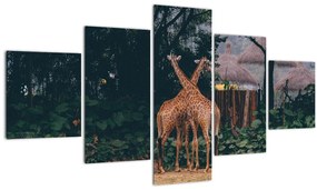 Obraz dvou žiraf (125x70 cm)
