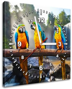 Gario Obraz s hodinami Barevní papoušci Rozměry: 30 x 30 cm