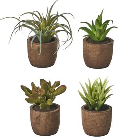 Umělé rostliny v sadě 4 ks (výška 10 cm) Cactus – Casa Selección