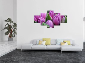 Obraz - květy tulipánů (125x70 cm)