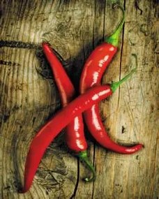 Chilli papričky 1 - 10 x 33 cm