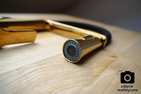 Gamma Vegas, stojánková vysoká kuchyňská baterie s flexibilním ramenem a sprškou, černá matná-zlatá lesklá, GMA-BVSK-GD