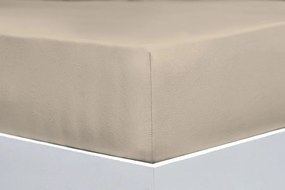 Florella Prostěradlo Avance Jersey Elastan Beige, 180x200-220 cm
