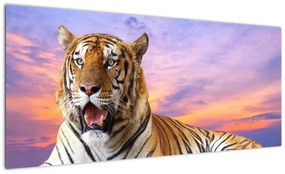 Obraz ležícího tygra (100x40cm)
