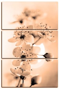 Obraz na plátně - Malé květy na větvi - obdélník 7173FB (90x60 cm  )