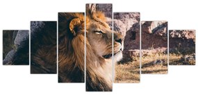 Obraz ležícího lva (210x100 cm)