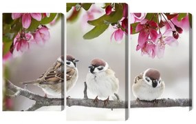 Vícedílný obraz Vrabci Mezi Květinami Nedostatek Nedostatek Plátno Canvas 180x120